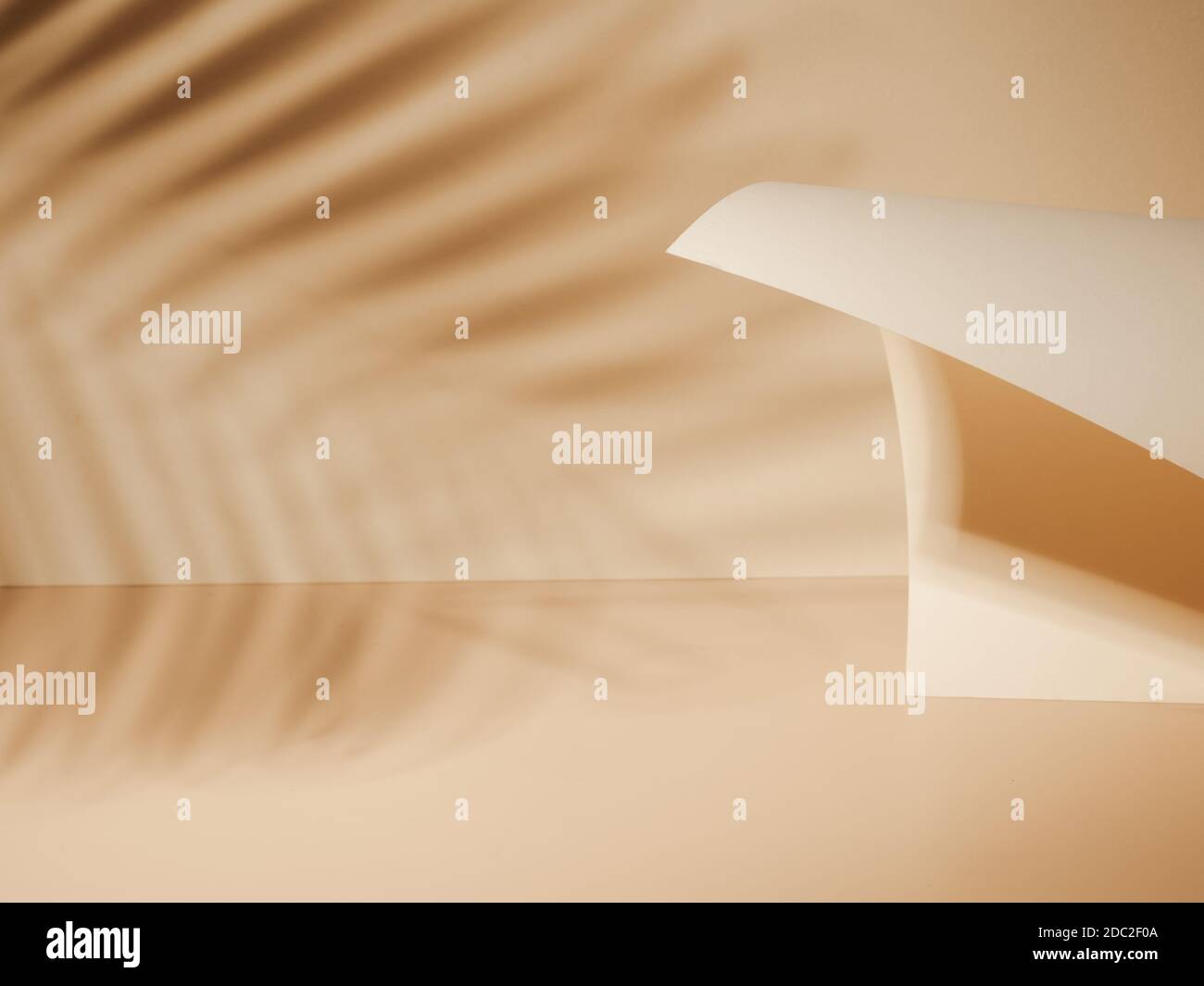 Ombre aux feuilles de palmier sur un mur et un sol pastel crème ...