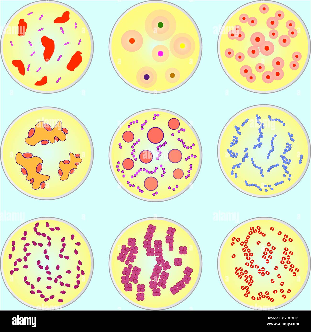image stylisée de différents types de bactéries sous microscope Image ...