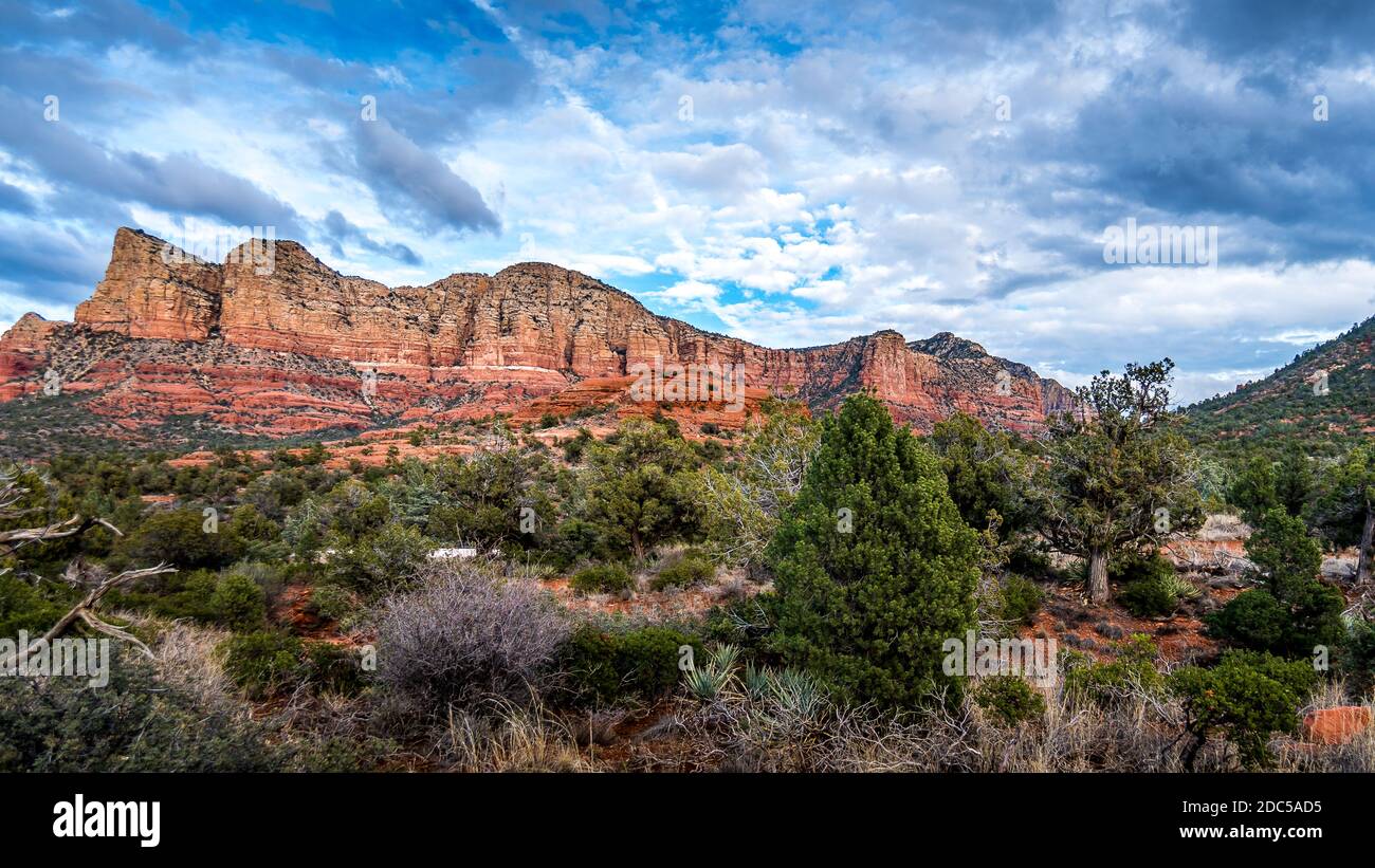 Forêt nationale de coconino Banque d'image et photos - Alamy
