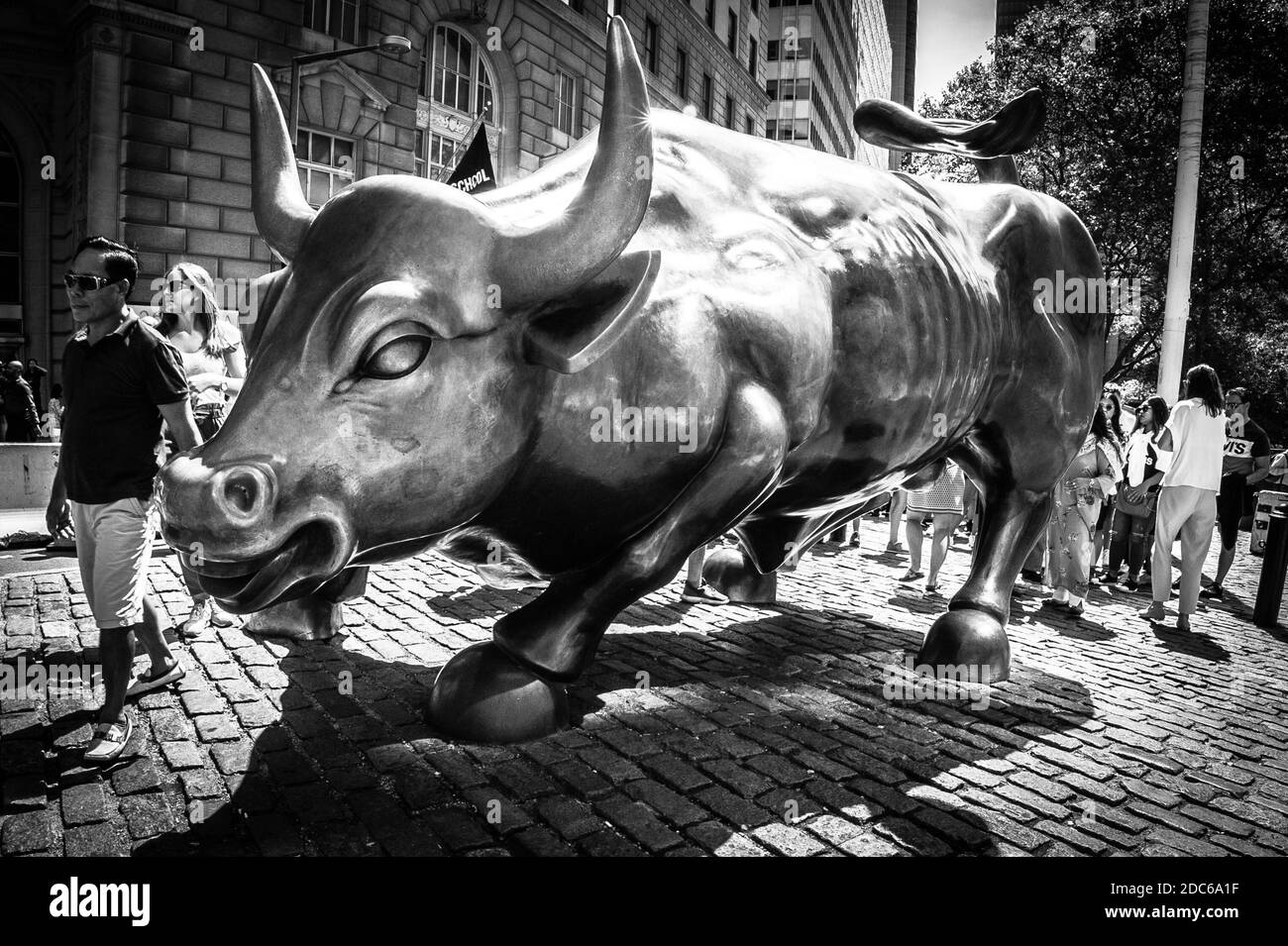 Bull wall street Banque d'images noir et blanc - Alamy