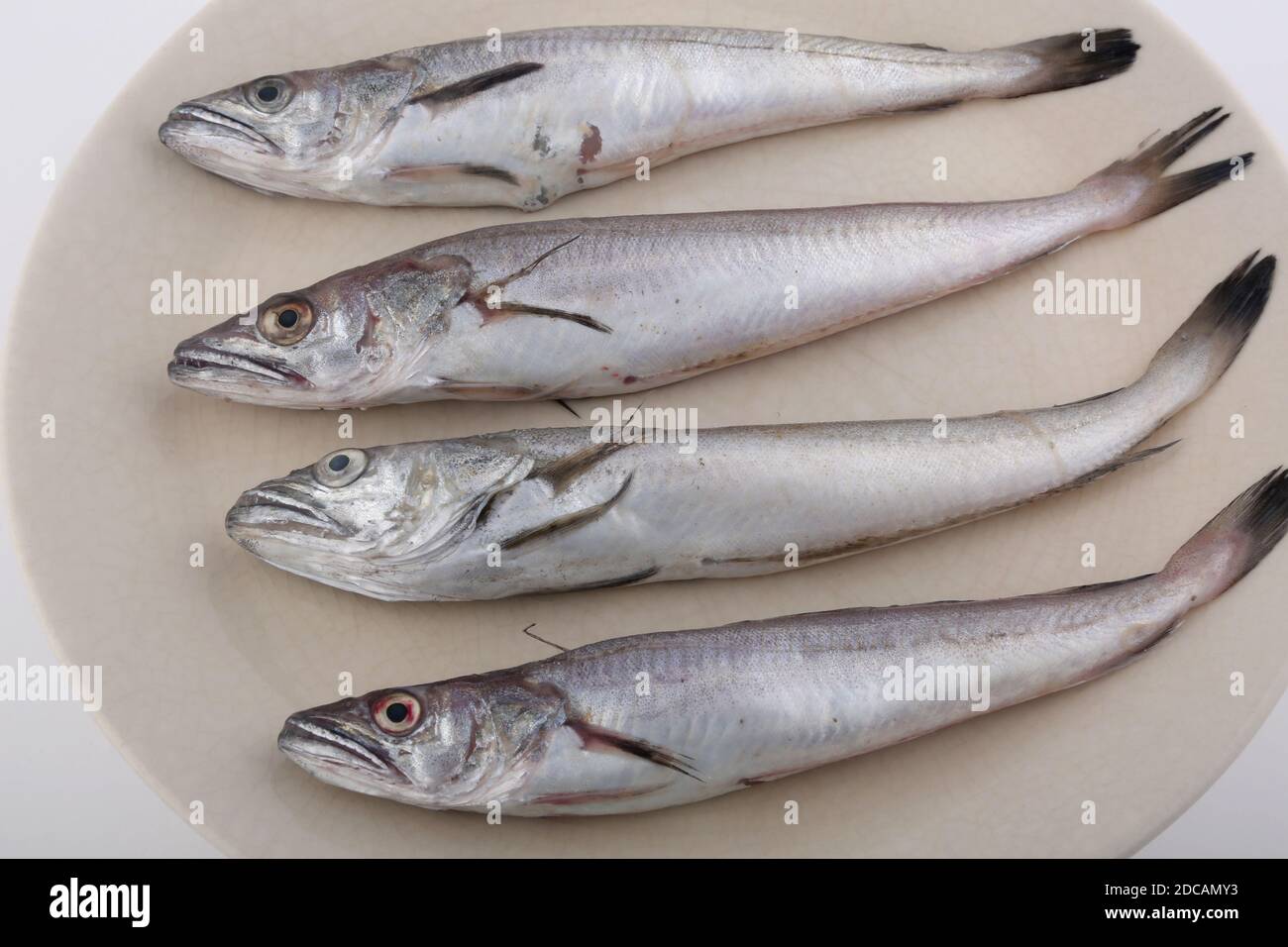 Petite morue Banque de photographies et d’images à haute résolution - Alamy