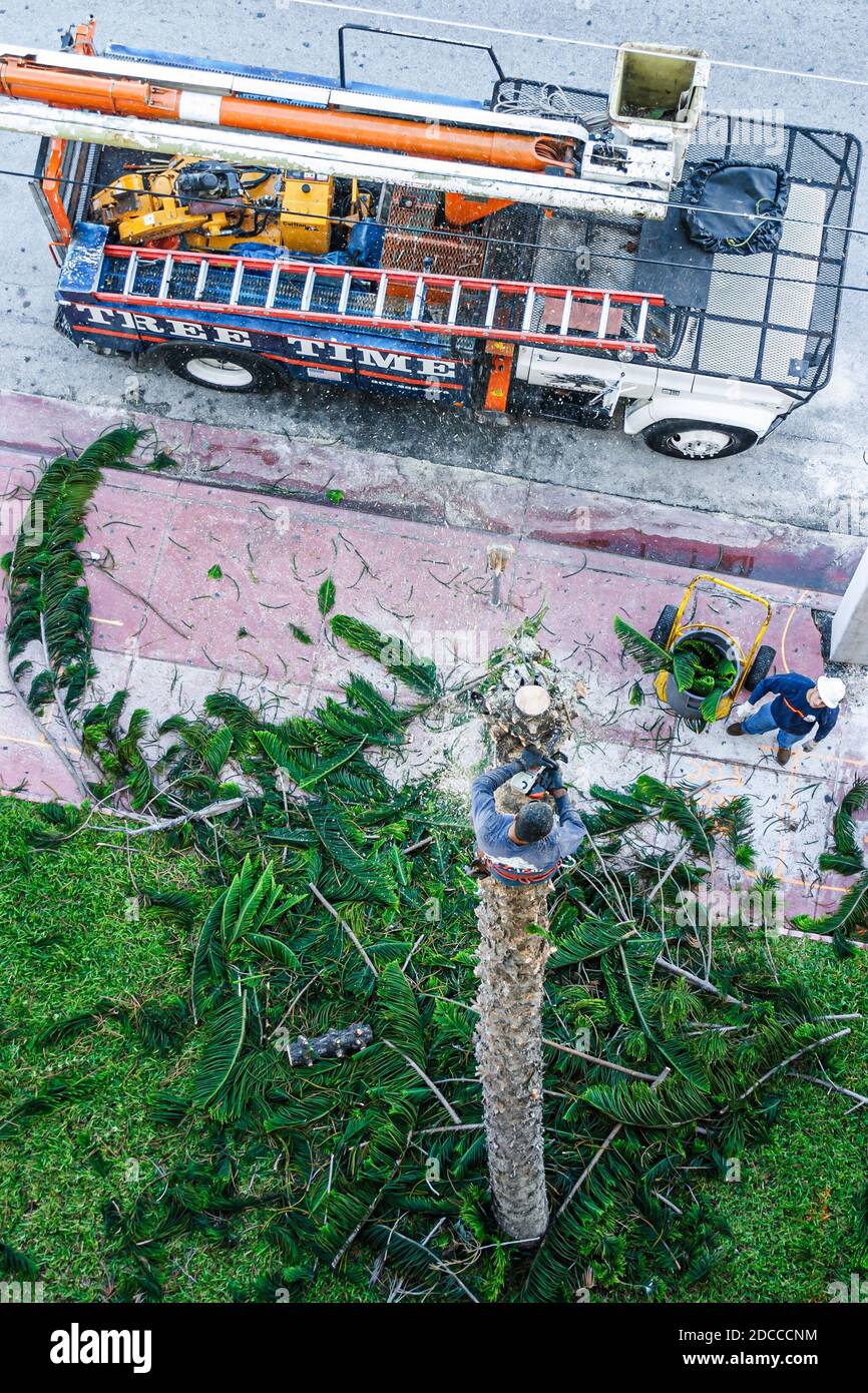 Scie à chantourner Banque de photographies et d’images à haute ...