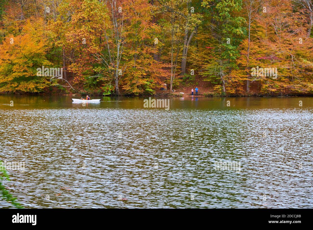 Eau et arbres avec des gens qui font du kayak et de la pêche au barrage ...