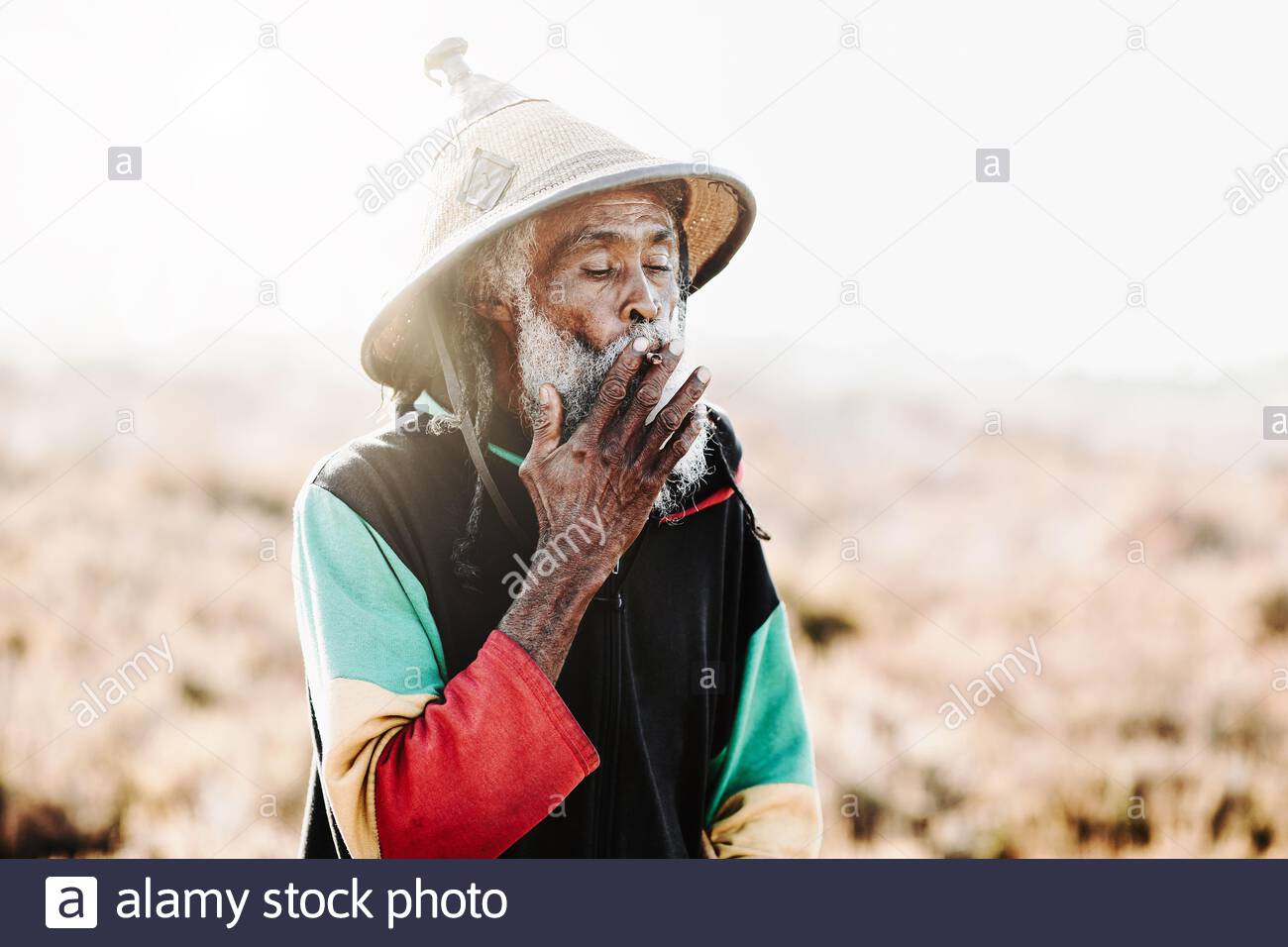 Rastafarian Dreadlocks Beard Banque d'image et photos - Alamy