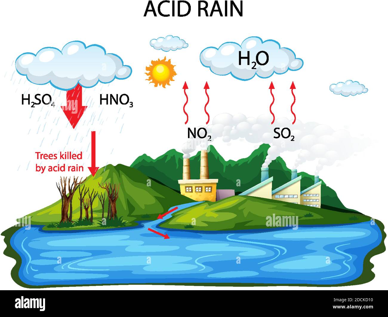 Acid rain pathway illustration Banque d'images détourées - Alamy