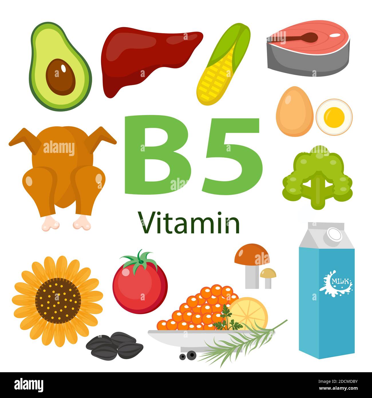 Ensemble d'infographies de vitamine B5 et de produits utiles avocat ...