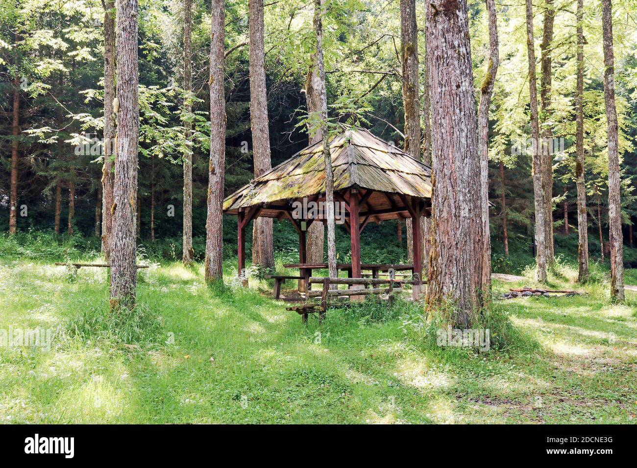 Abri de table Banque de photographies et d’images à haute résolution ...