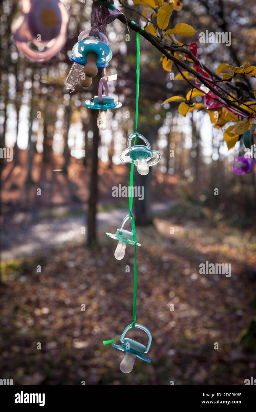 Soother tree Banque de photographies et d’images à haute résolution - Alamy