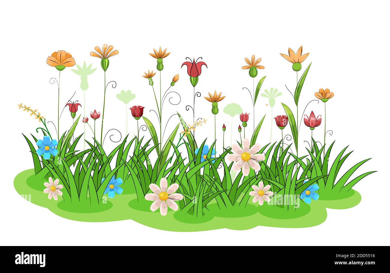 Prairie en fleurs avec herbe et fleurs. Style de dessin animé. Isolé ...