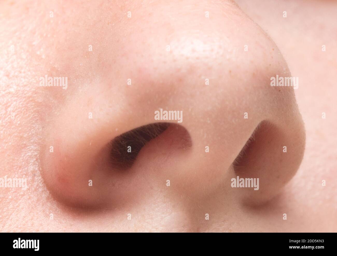 Nez humain Banque de photographies et d’images à haute résolution - Alamy