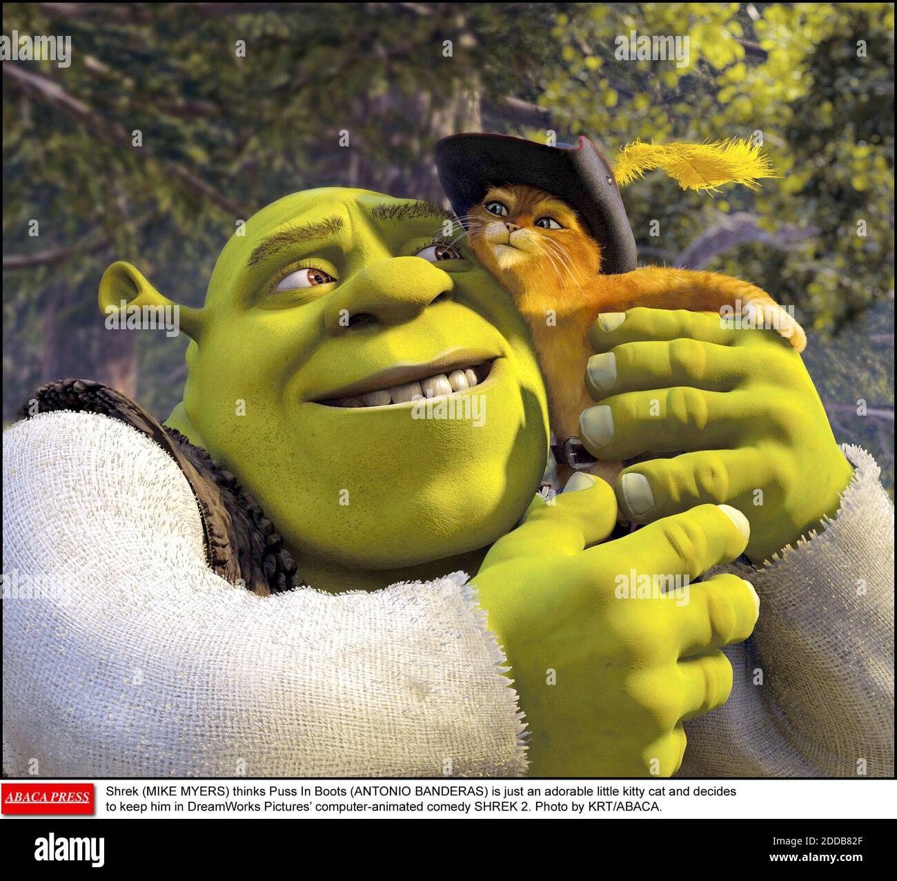 Shrek cat Banque de photographies et d’images à haute résolution - Alamy