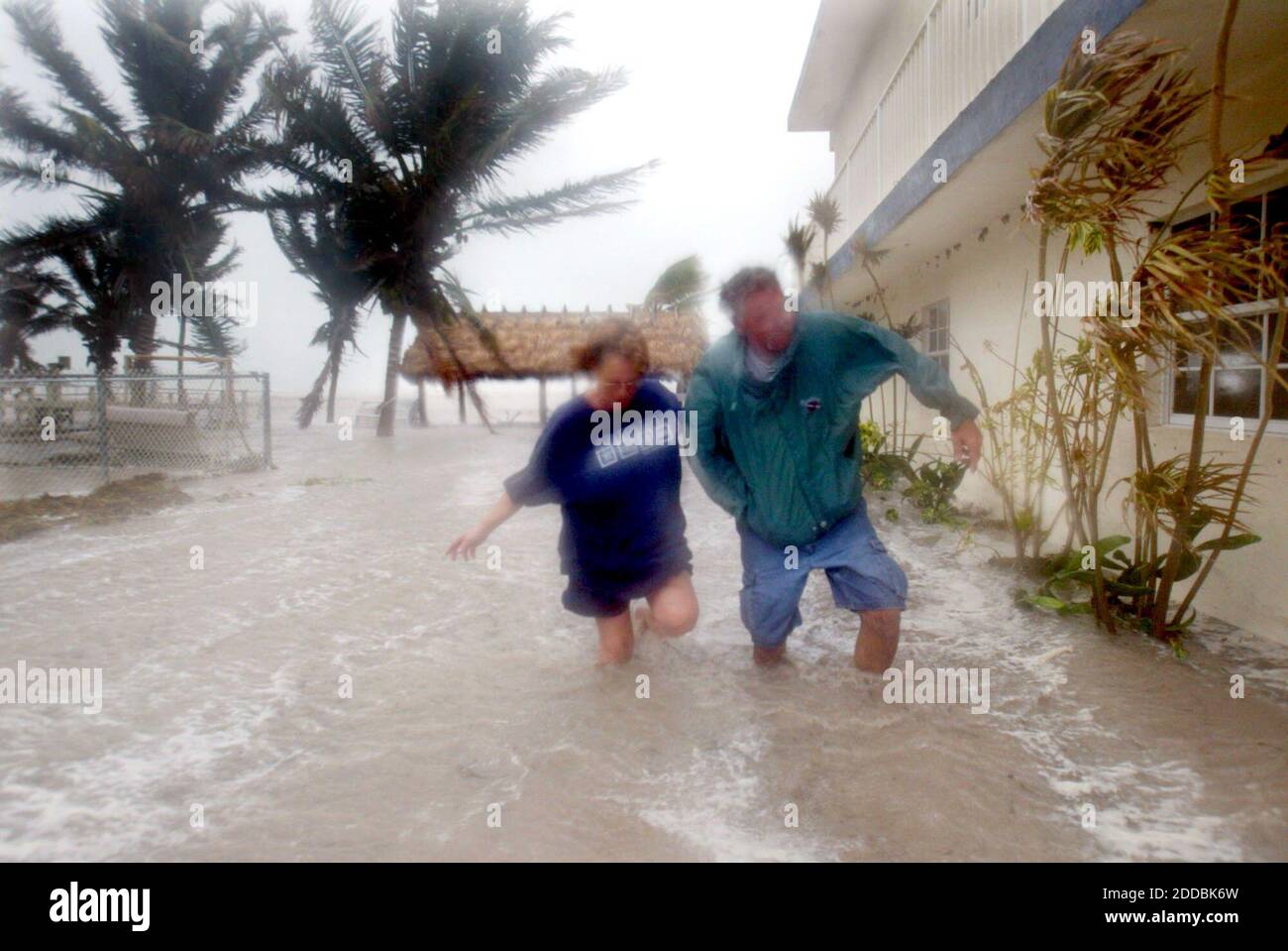 Gypsy king Banque de photographies et d’images à haute résolution - Alamy