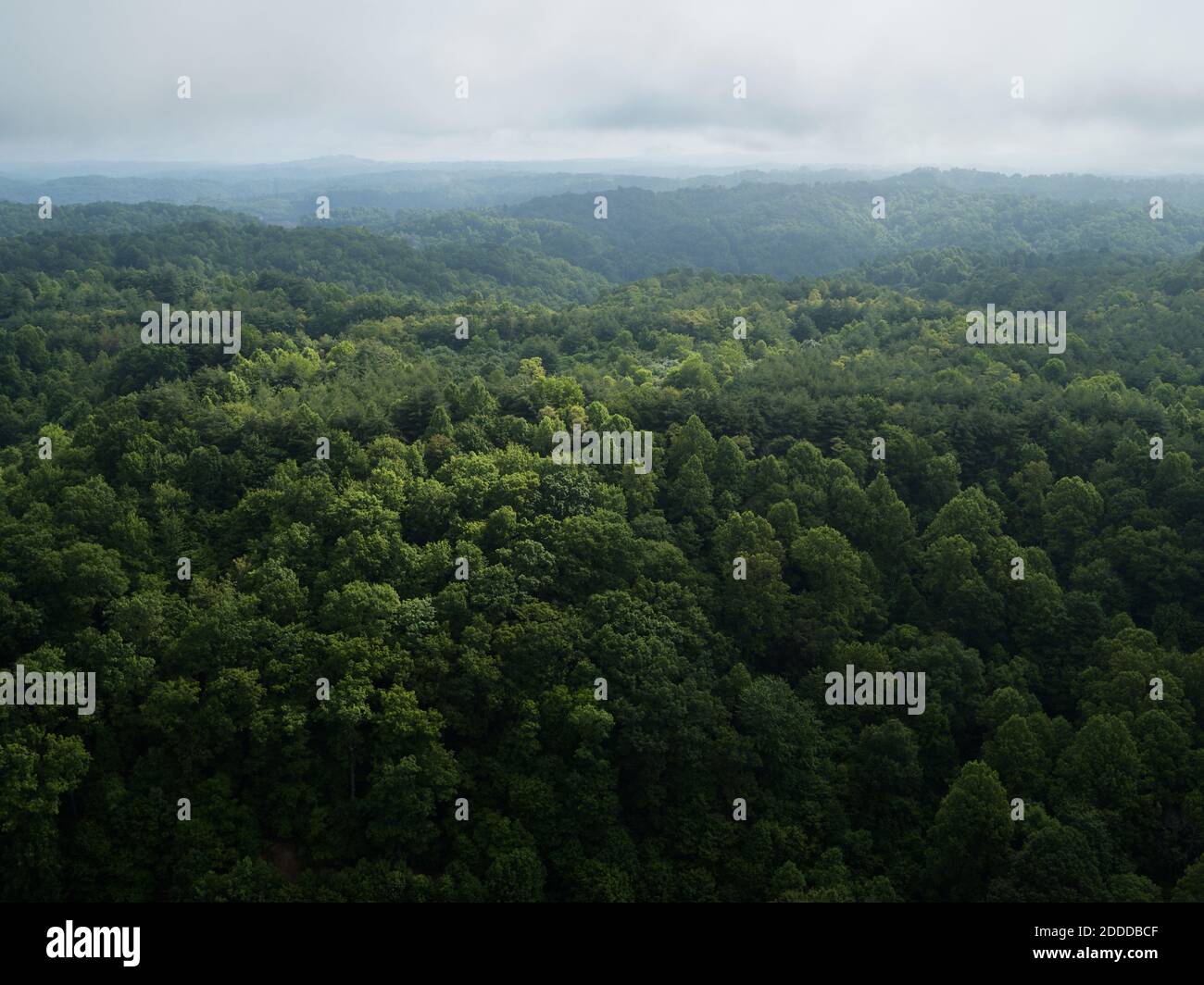 Vaste vert Banque de photographies et d’images à haute résolution - Alamy