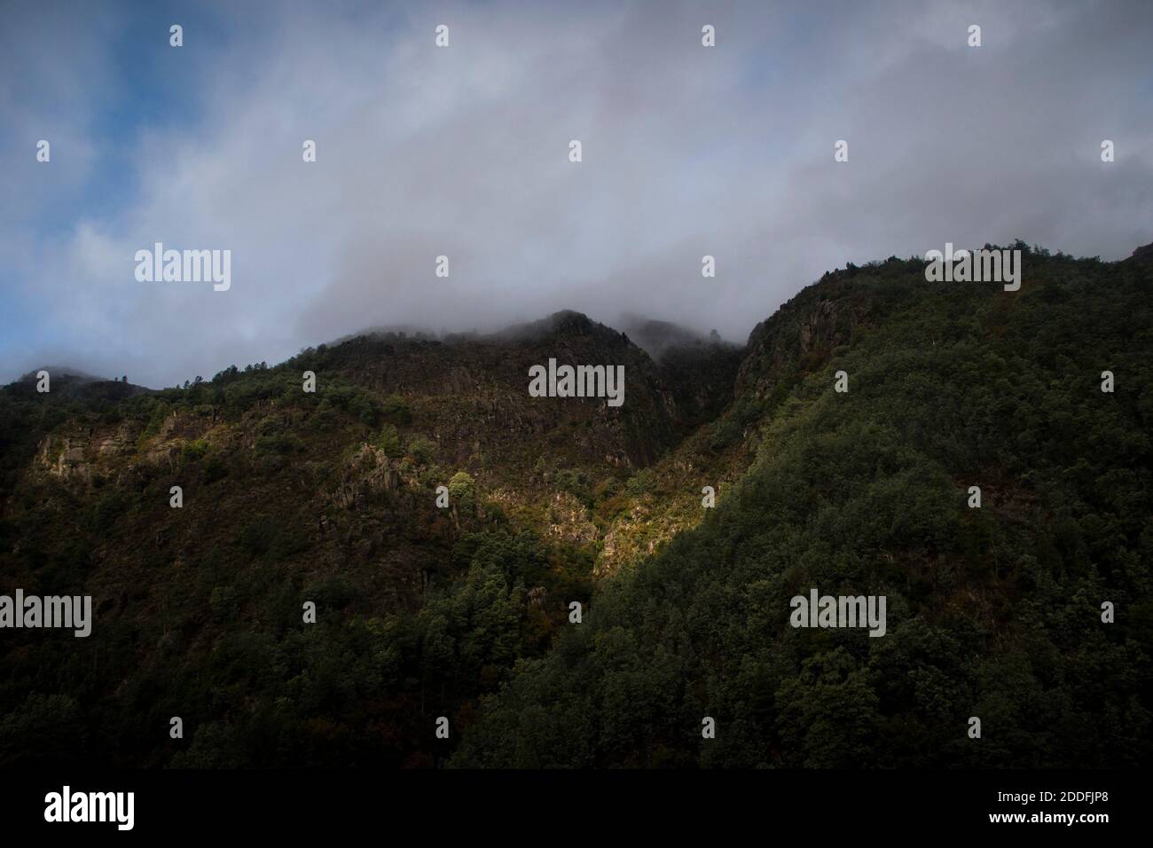 Paysage De Montagne Avec Brouillard Banque d'image et photos - Alamy