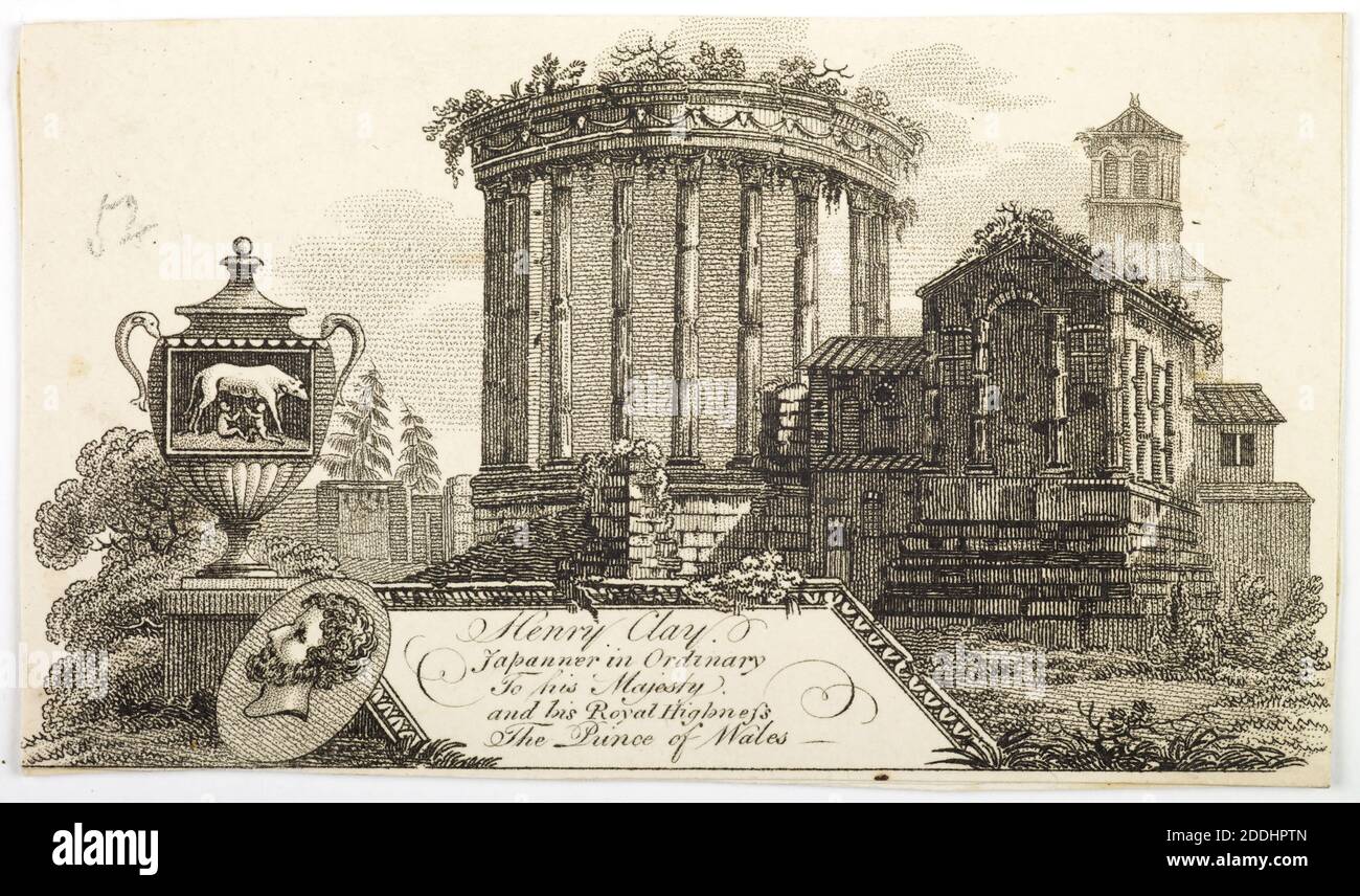 Le magnifique bisset Banque de photographies et d’images à haute ...