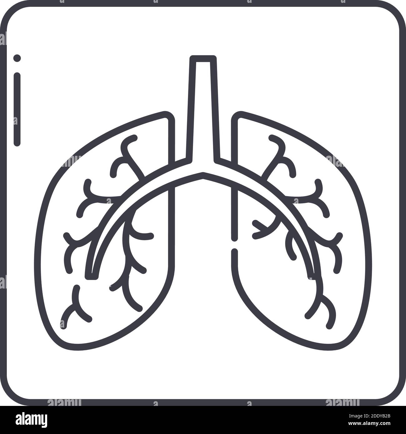 Icône De Fluorographie Illustration Linéaire Isolée Vecteur De Ligne