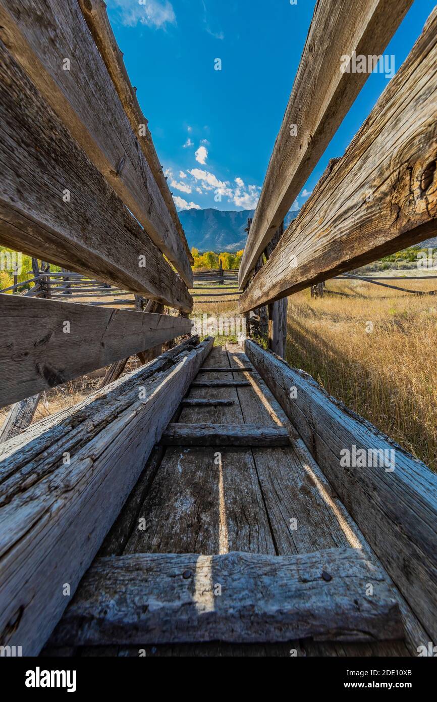 Ranch ewing snell Banque de photographies et d’images à haute ...