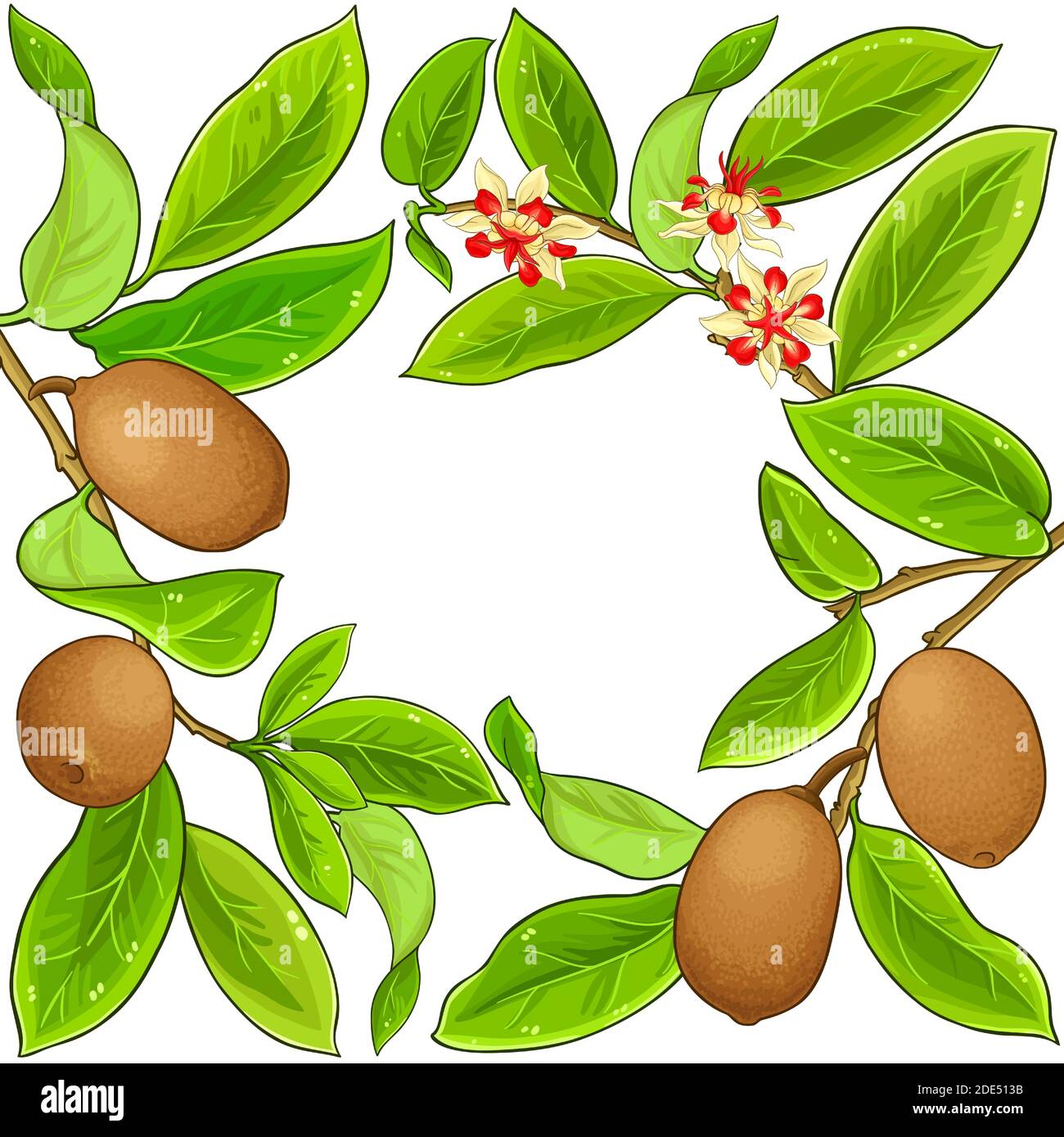 Cupuacu fruit Banque de photographies et d’images à haute résolution ...