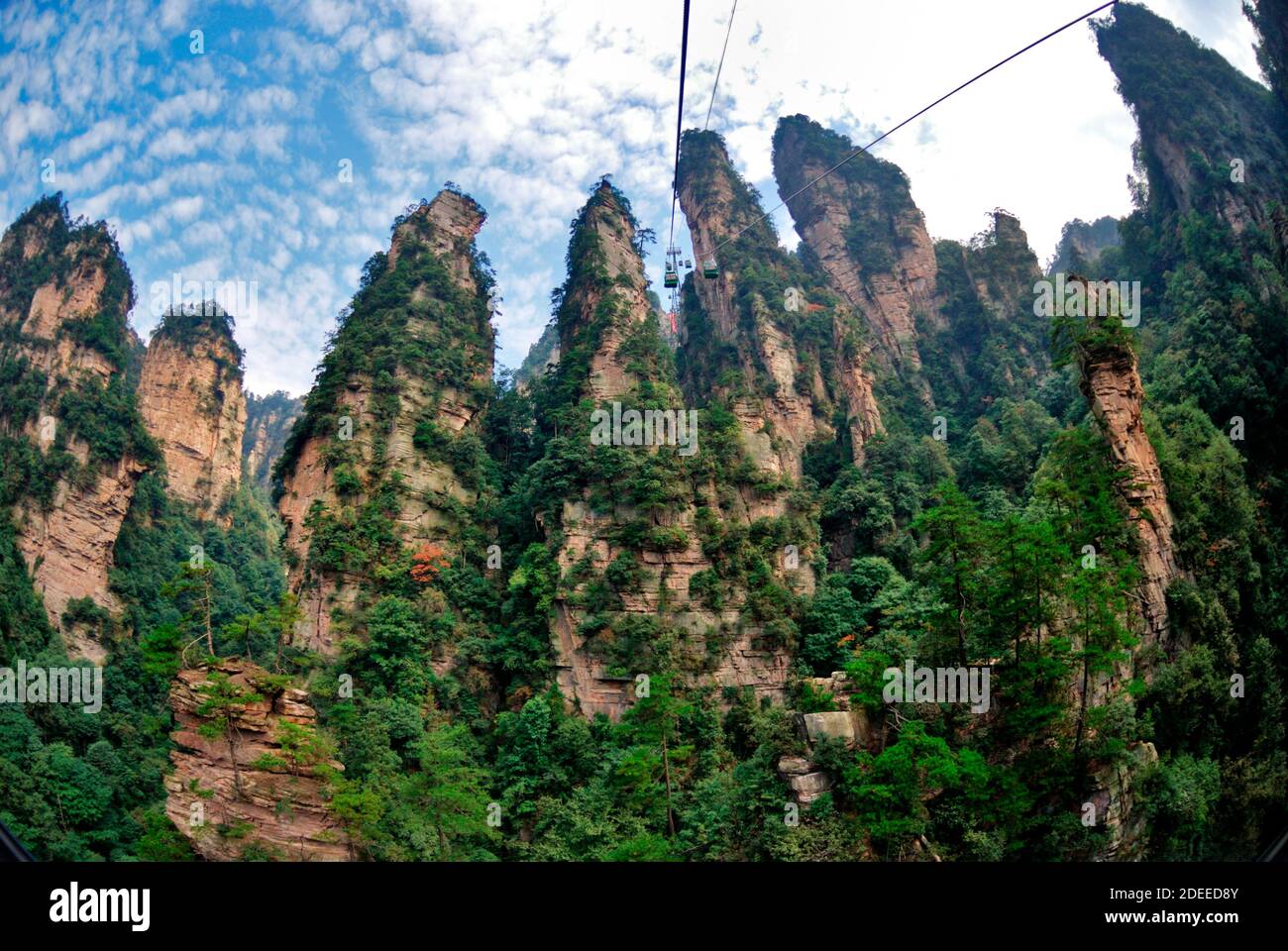 Les téléphériques de Zhangjiajie National Forest Park, dans la province ...