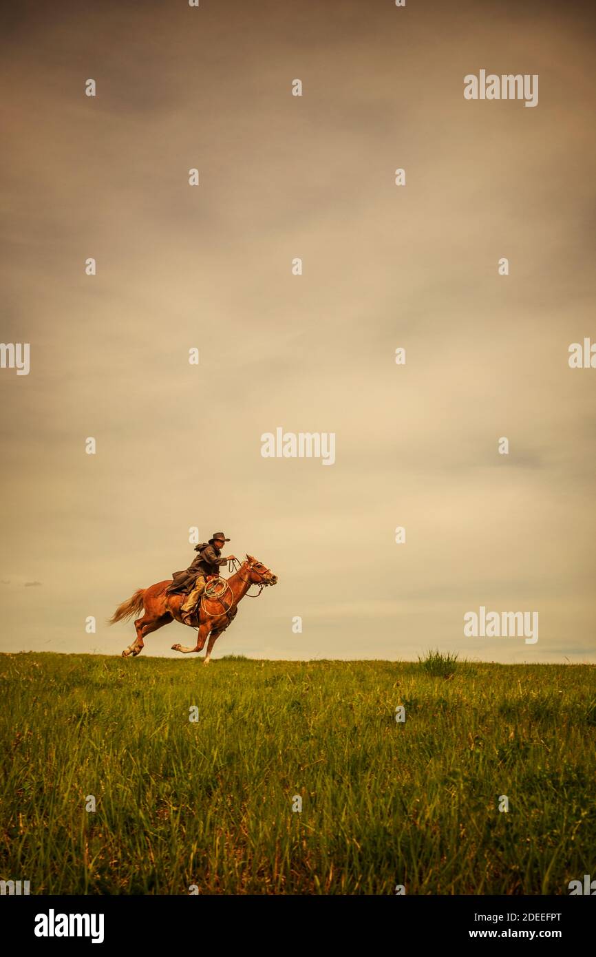 Cowboy avec son cheval qui court Banque de photographies et d’images à ...