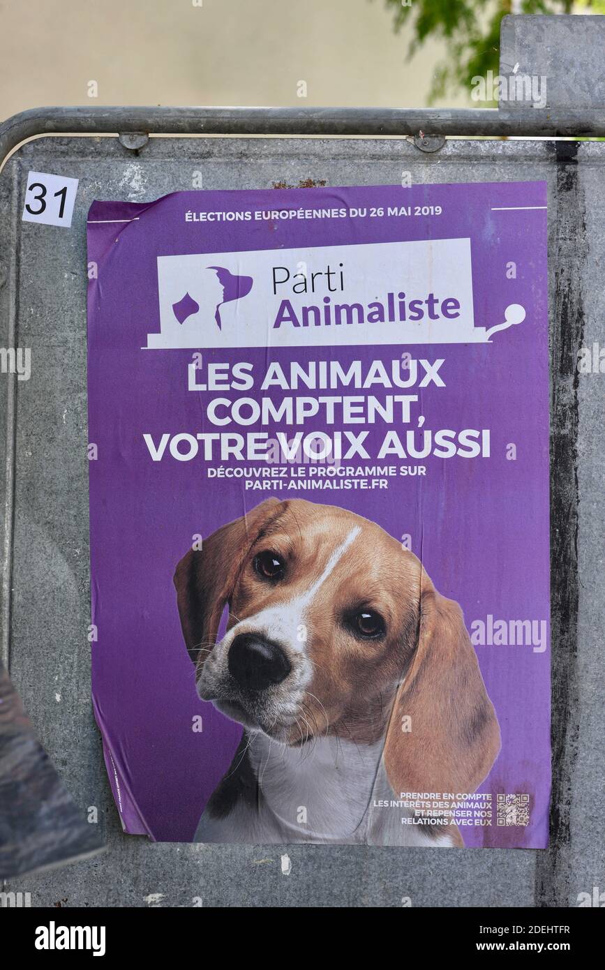 Parti animaliste Banque de photographies et d’images à haute résolution ...