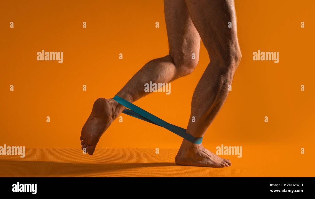 Partes del musculo Banque de photographies et d’images à haute ...