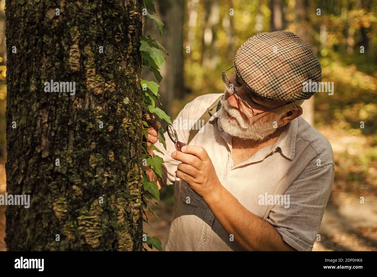 Ancien homme scientifique. Le botaniste examine les plantes. Grand-père ...