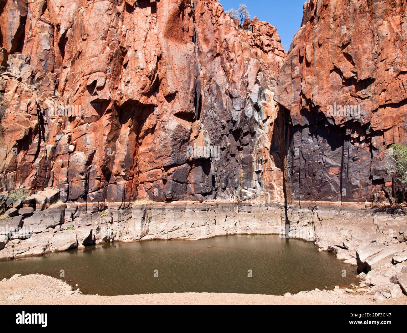 Piscine python Banque de photographies et d’images à haute résolution ...