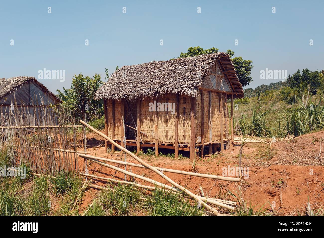 Cabane malgache africaine traditionnelle en bois avec toit en paille ...