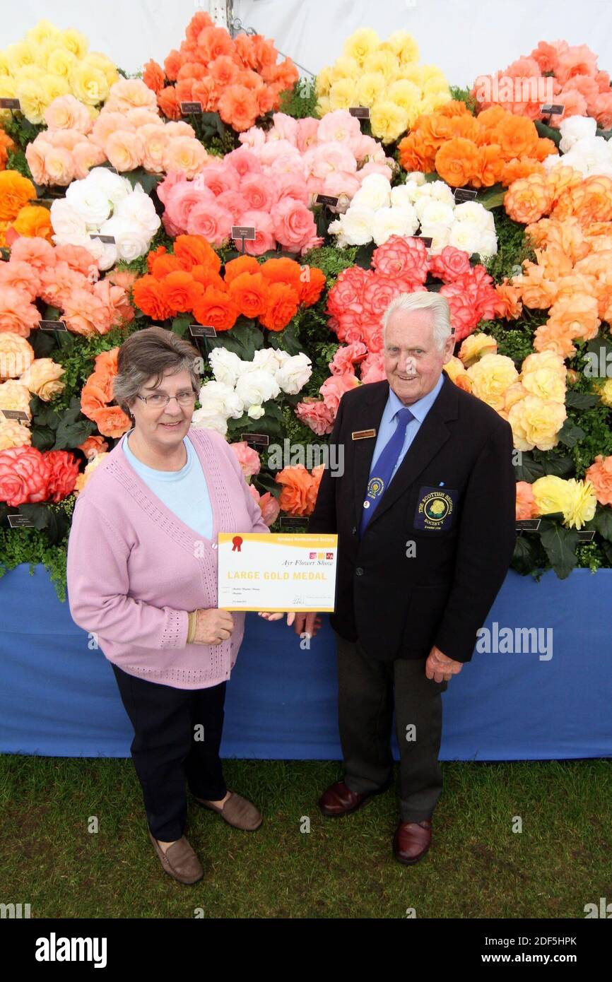 Ayr Flower Show 2014, Rozelle Park, Ayr, Ayrshire, Écosse, Royaume-Uni ...