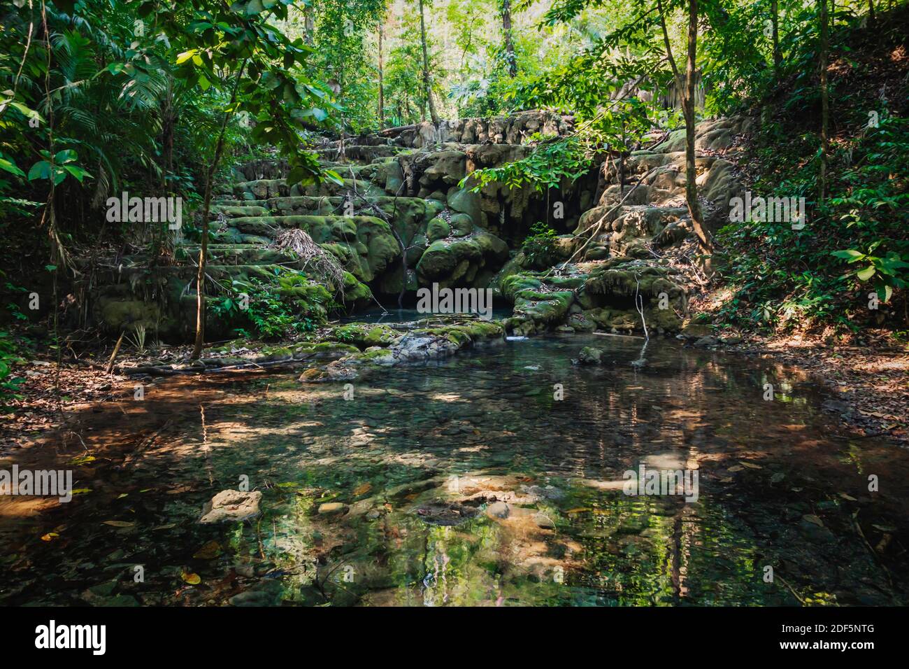 Parque nacional palenque Banque de photographies et d’images à haute résolution - Alamy