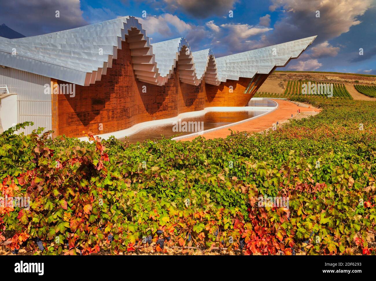 Vignobles, Bodegas Ysios, conçu par l'architecte Santiago Calatrava ...