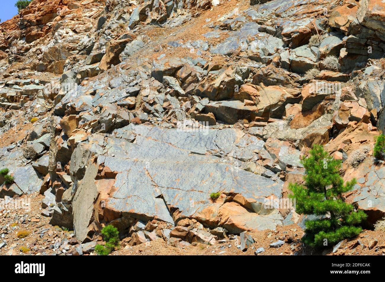 Metamorphic rock serpentinite Banque de photographies et d’images à ...