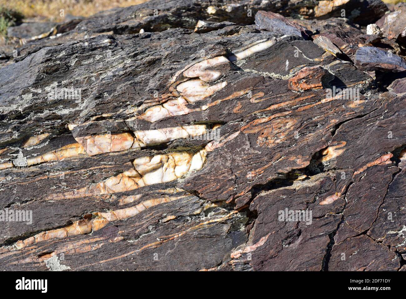Roche avec veine de quartz Banque de photographies et d’images à haute ...