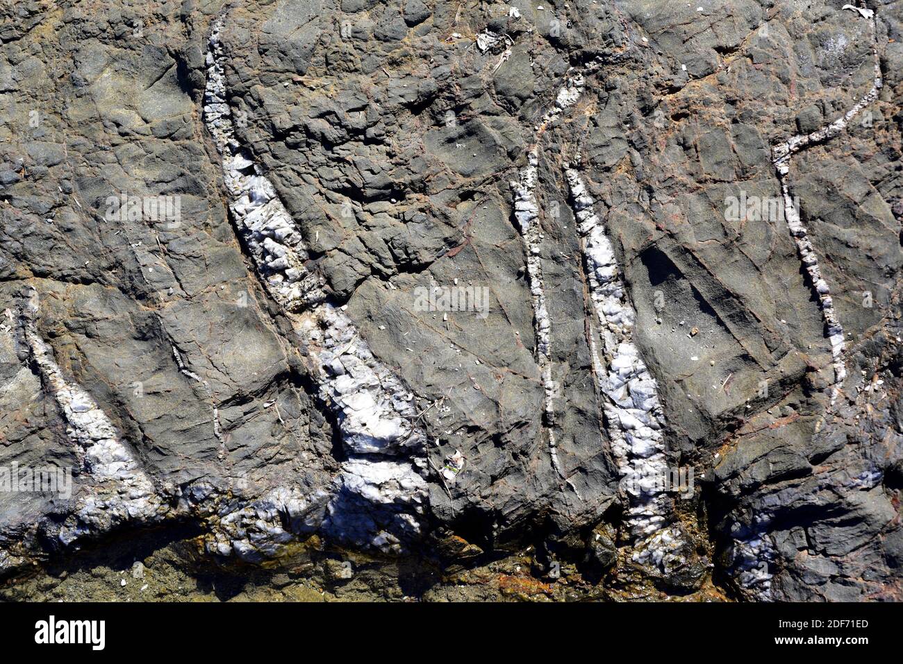 Roche avec veine de quartz Banque de photographies et d’images à haute ...