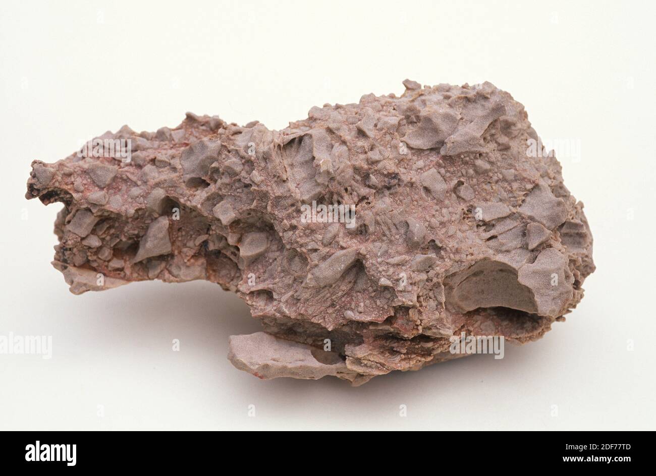 Breccia rock Banque de photographies et d’images à haute résolution - Alamy