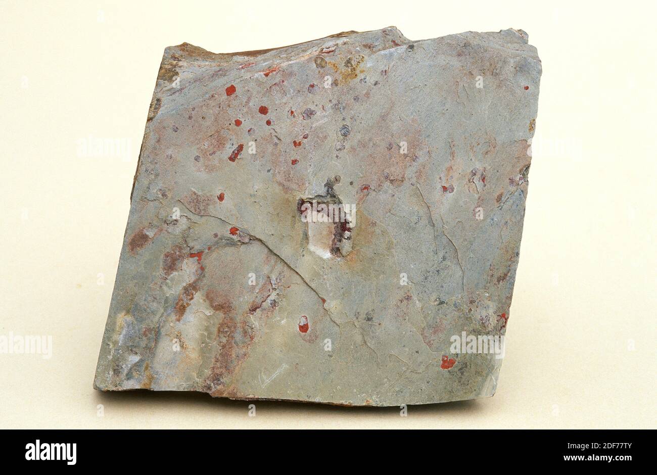 Schiste Metamorphique Banque d'image et photos - Alamy