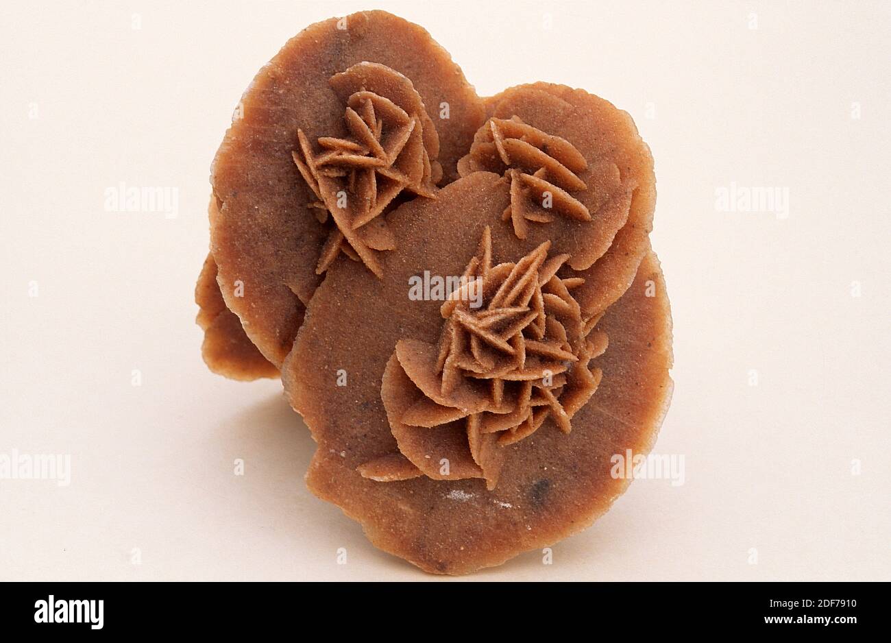 Rock gypsum sedimentary rock Banque de photographies et d’images à ...