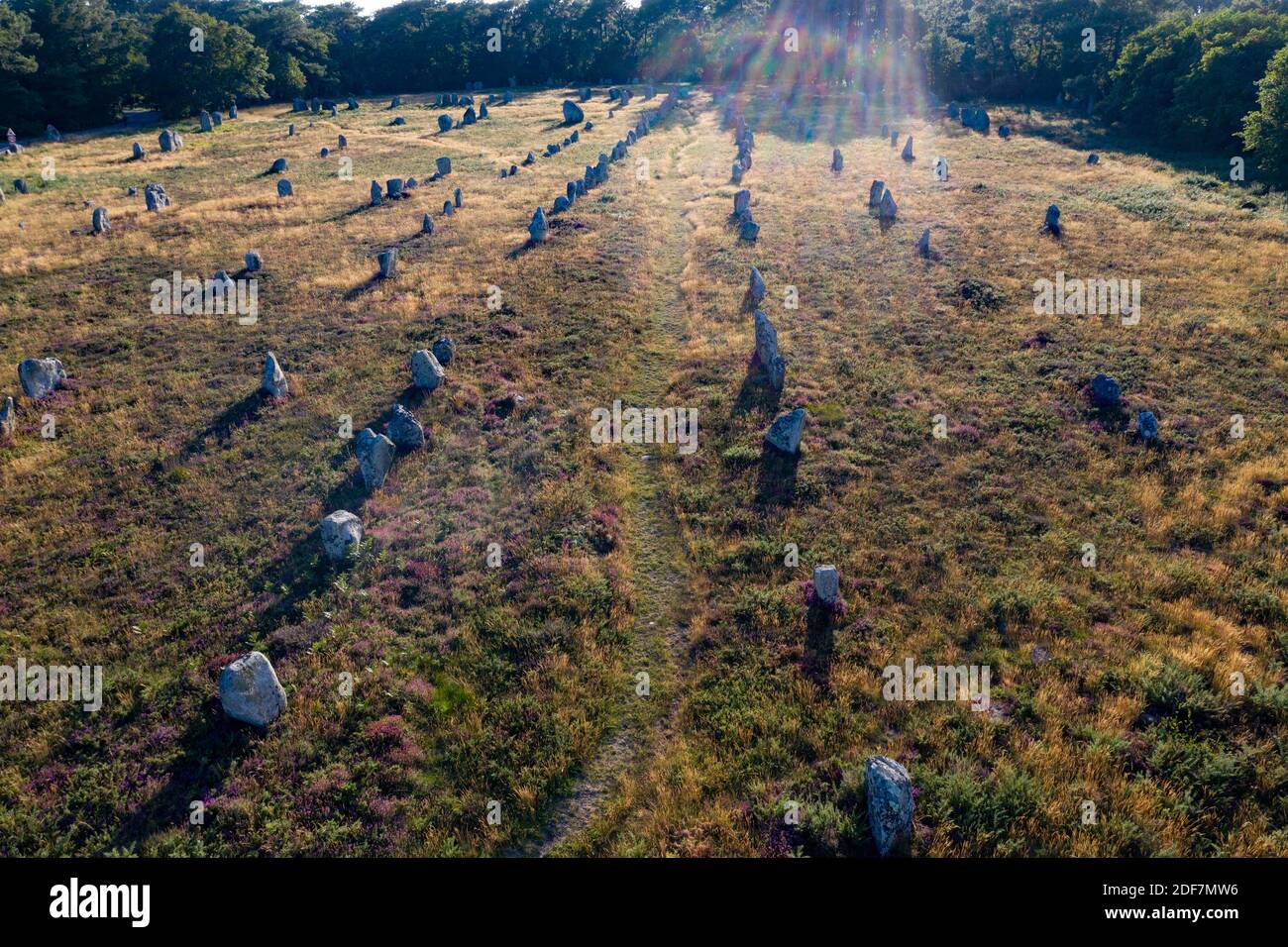 France, Morbihan, Carnac, site mégalithique, alignements de Kerlescan ...