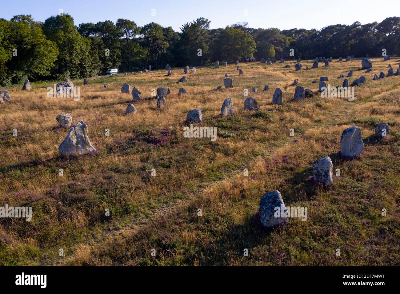 France, Morbihan, Carnac, site mégalithique, alignements de Kerlescan ...