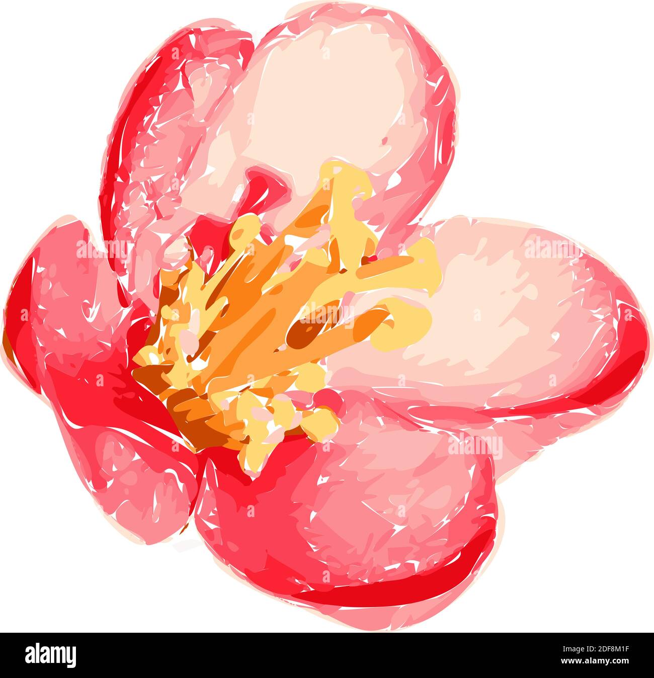 Fleur de coing rouge Banque d'images vectorielles - Alamy