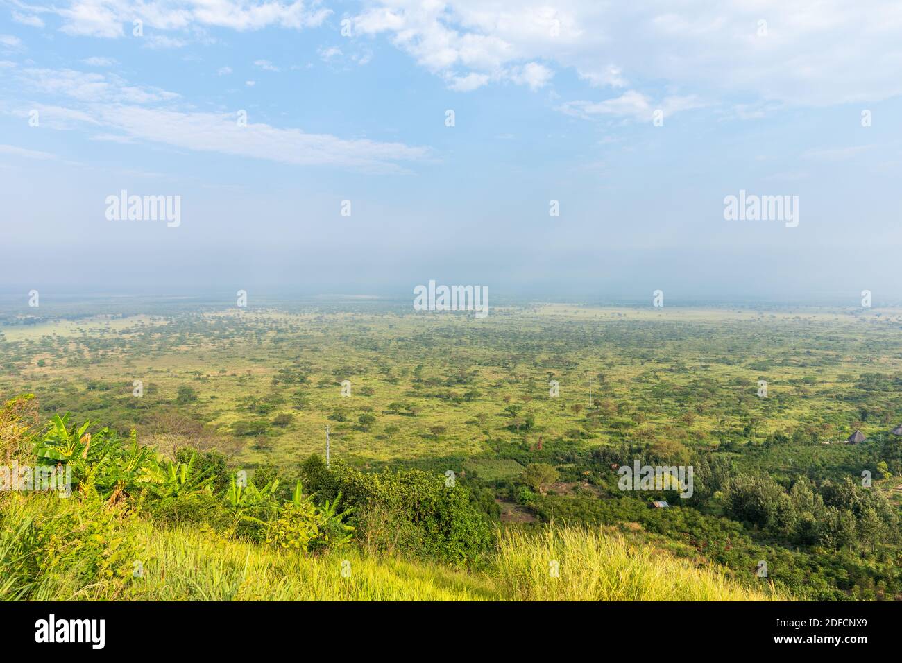 Paysage De Savane Banque d'image et photos - Alamy