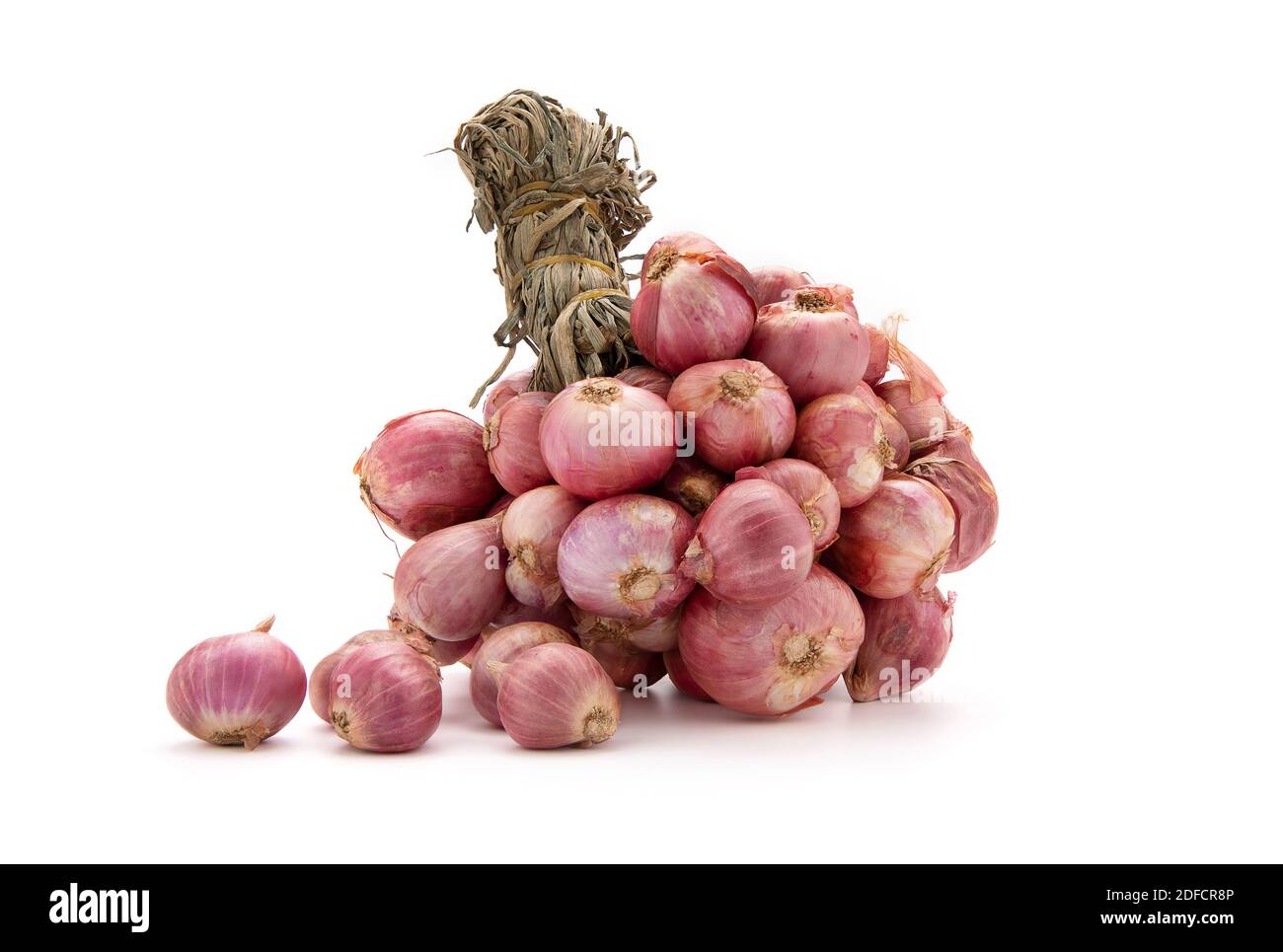 Bouquet d'oignons sur fond blanc Banque de photographies et d’images à ...