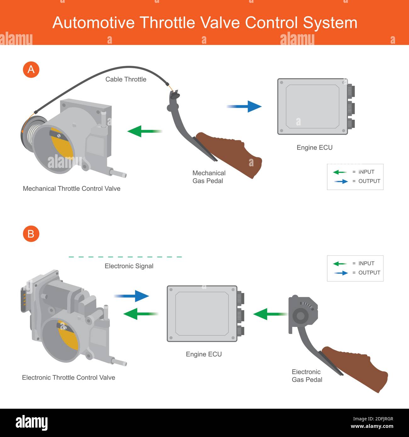 Système de commande de papillon automobile. Illustration pour expliquer ...