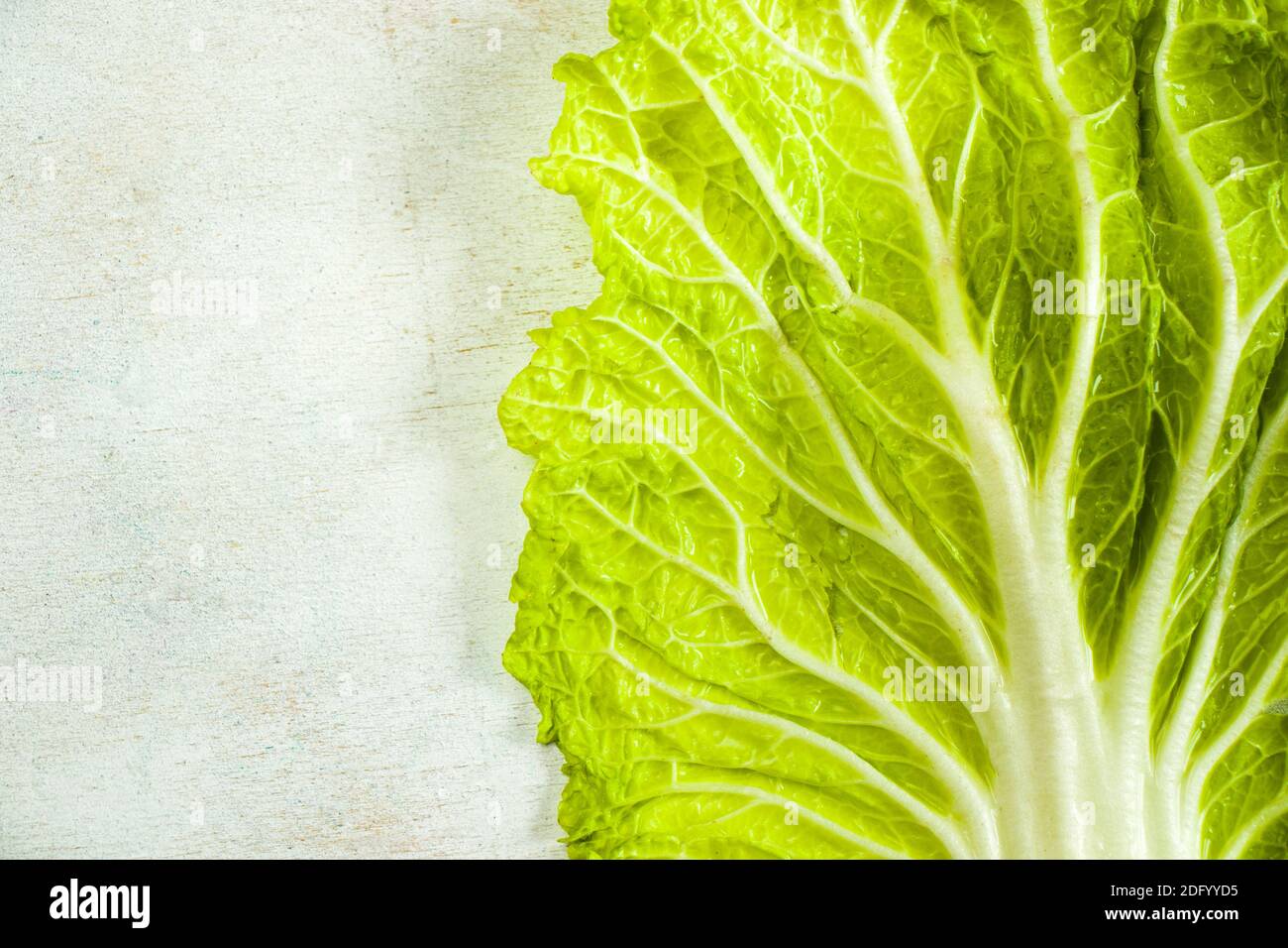 Feuille de chou chinois Napa sur fond blanc, texture de la feuille de ...