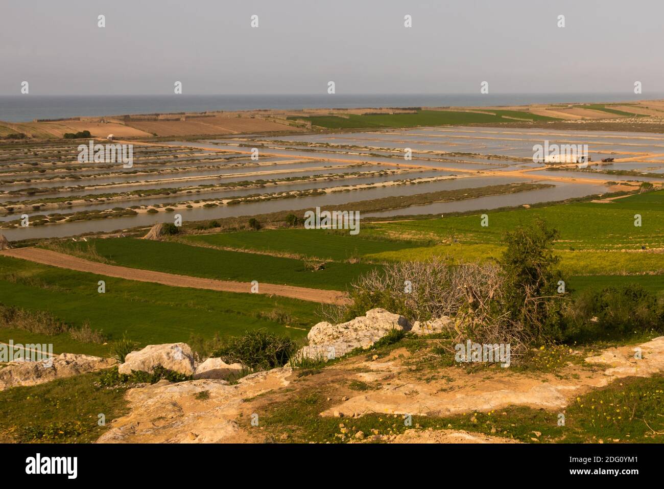 Champ de sel maroc Banque de photographies et d’images à haute ...