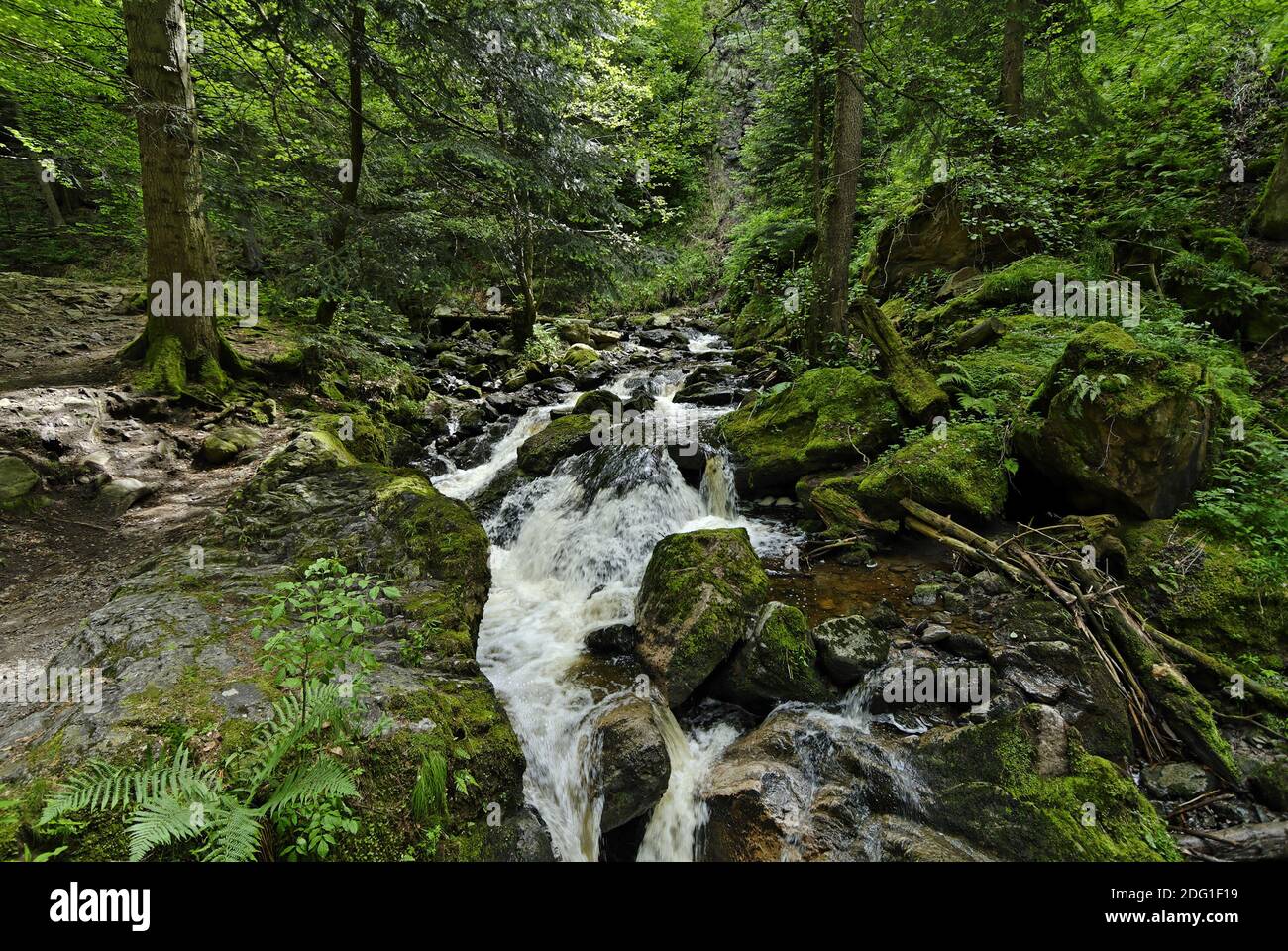 Crique sauvage Banque de photographies et d’images à haute résolution ...