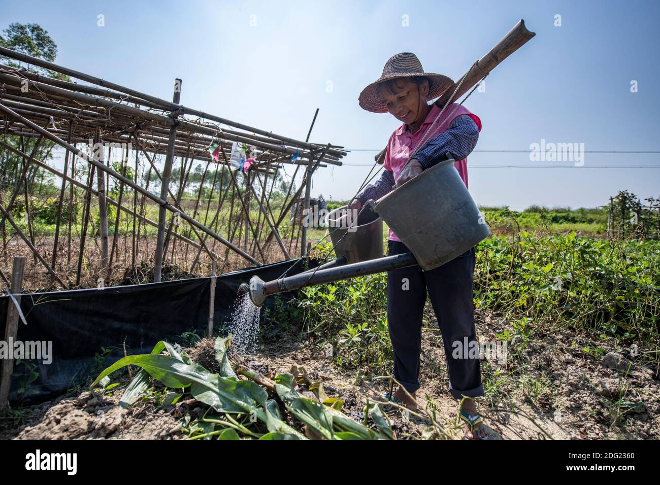 Agriculture à petite échelle en Chine rurale - agriculture biologique ...