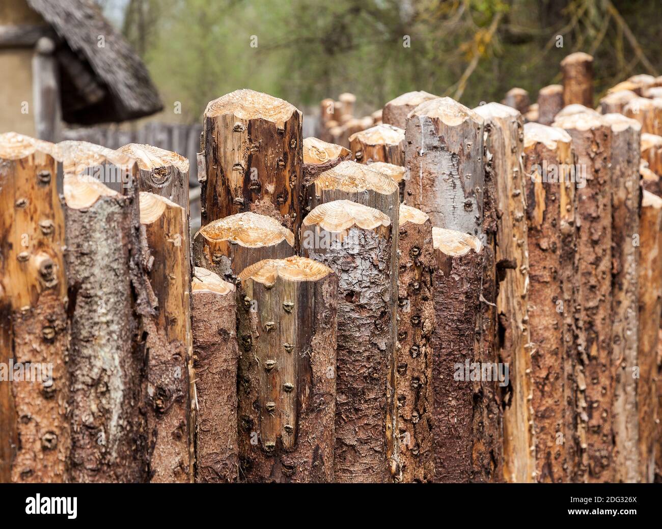 Pieu de bois Banque de photographies et d’images à haute résolution - Alamy