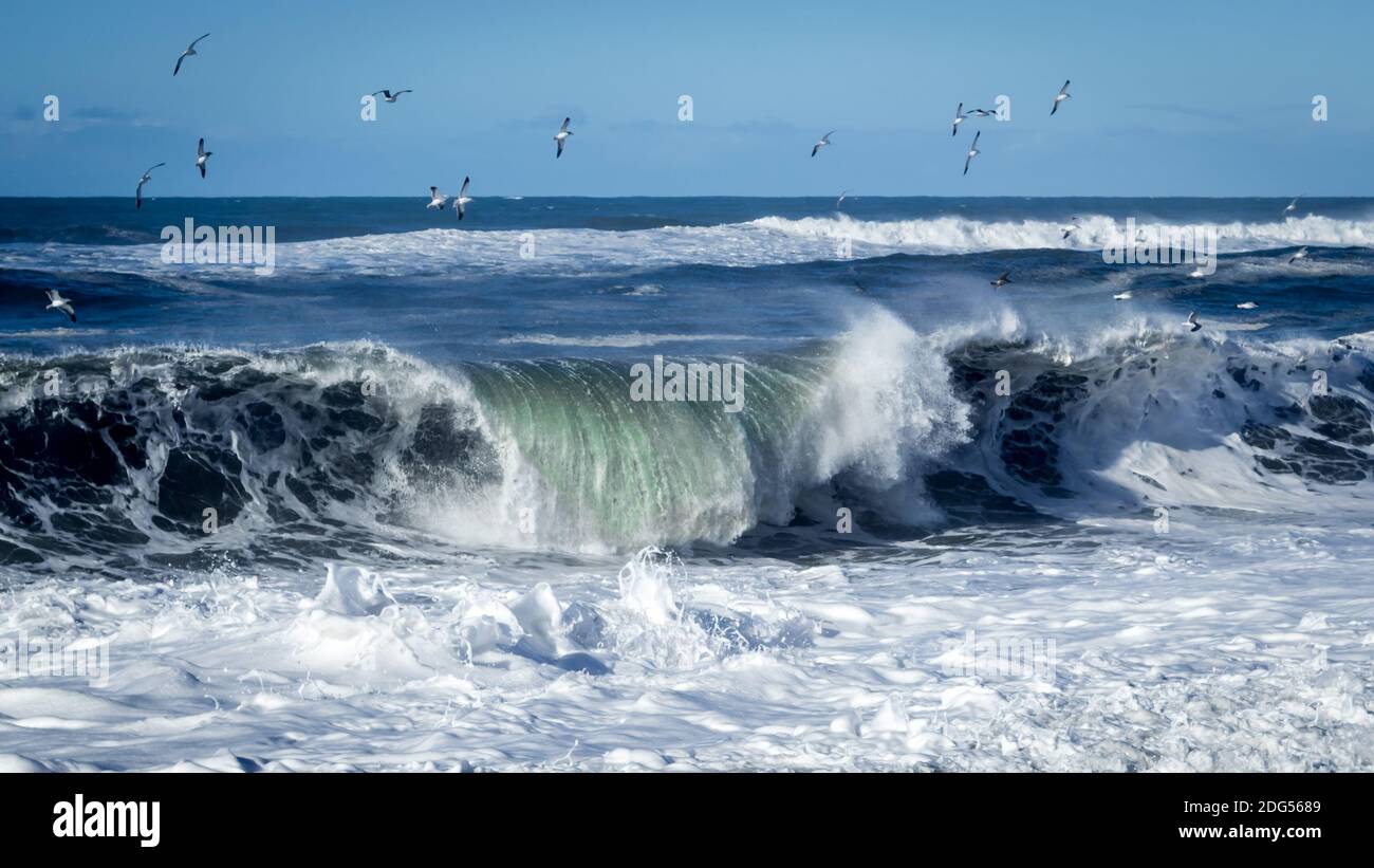 Grosse vague plage Banque de photographies et d’images à haute ...